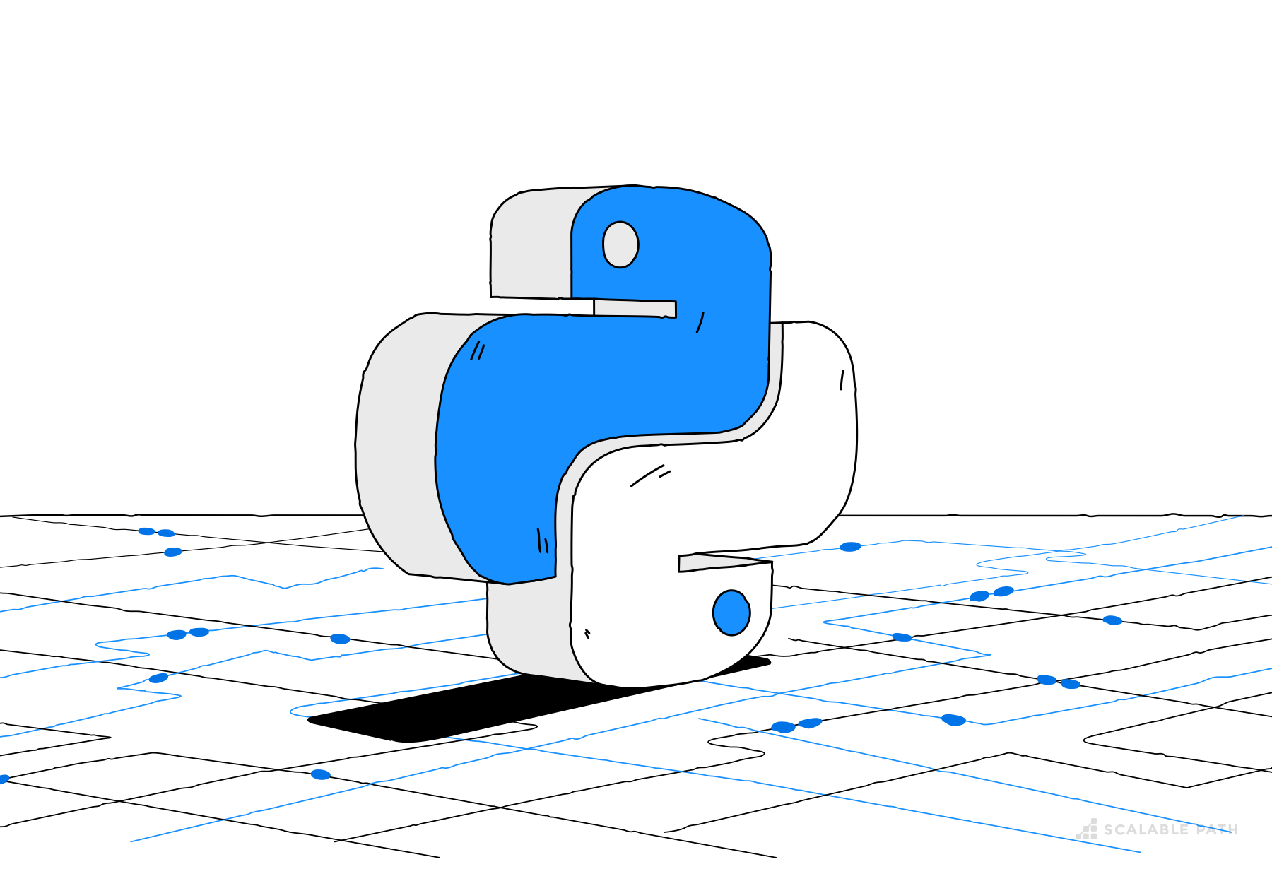 What Is Python used for and Why You should consider it | Scalable Path